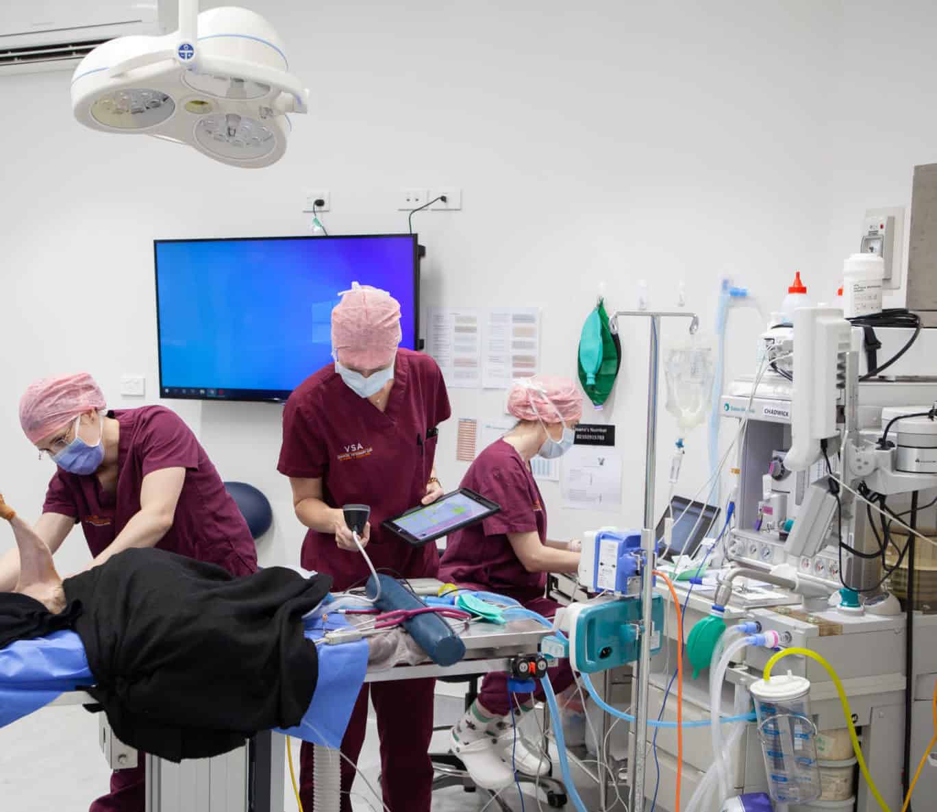 VSA Sylvia Park Auckland | Veterinary Specialist Referral Hospitals