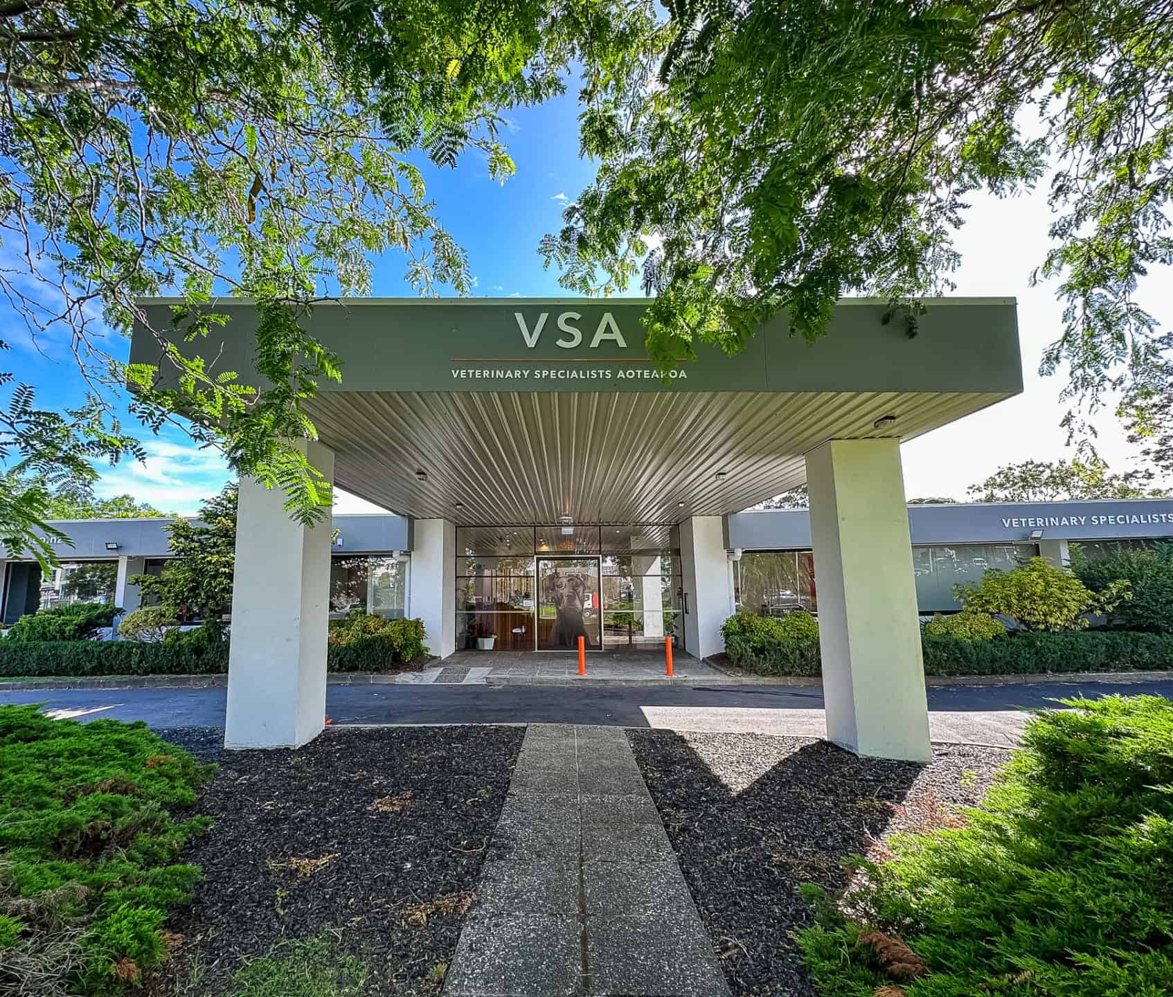 New Zealand Vets - Small Animal Hospital | Veterinary Specialists Aotearoa