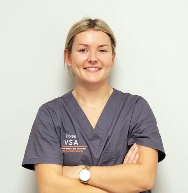 Ashley Young | Veterinarian Physiotherapy | VSA NZ