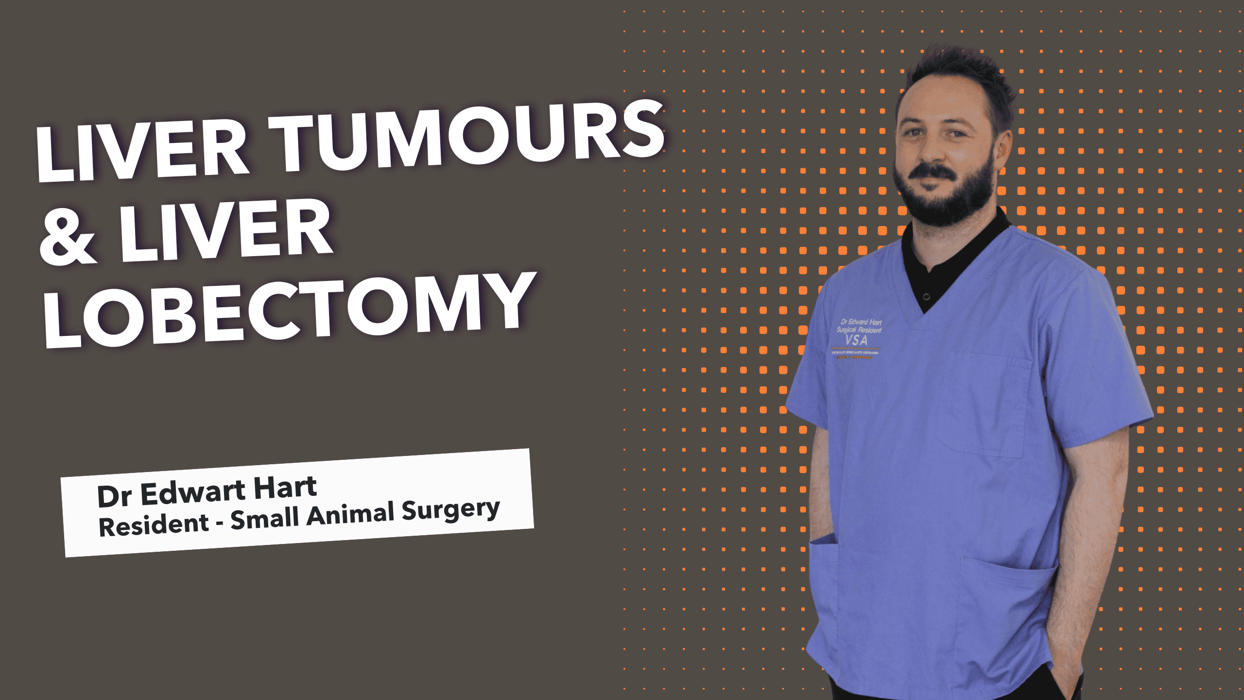 Liver Tumours & Liver Lobectomy – Dr Edward Hart at VSA Winterfest 2023 ...
