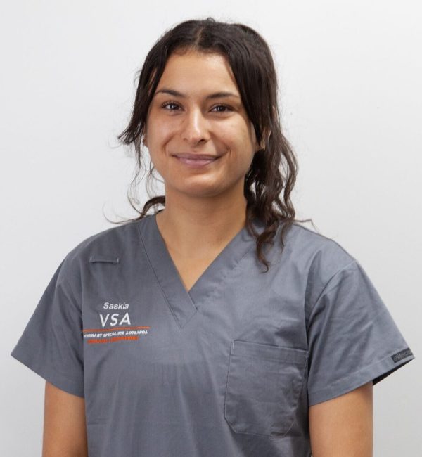 Ashley Young | Veterinarian Physiotherapy | VSA NZ